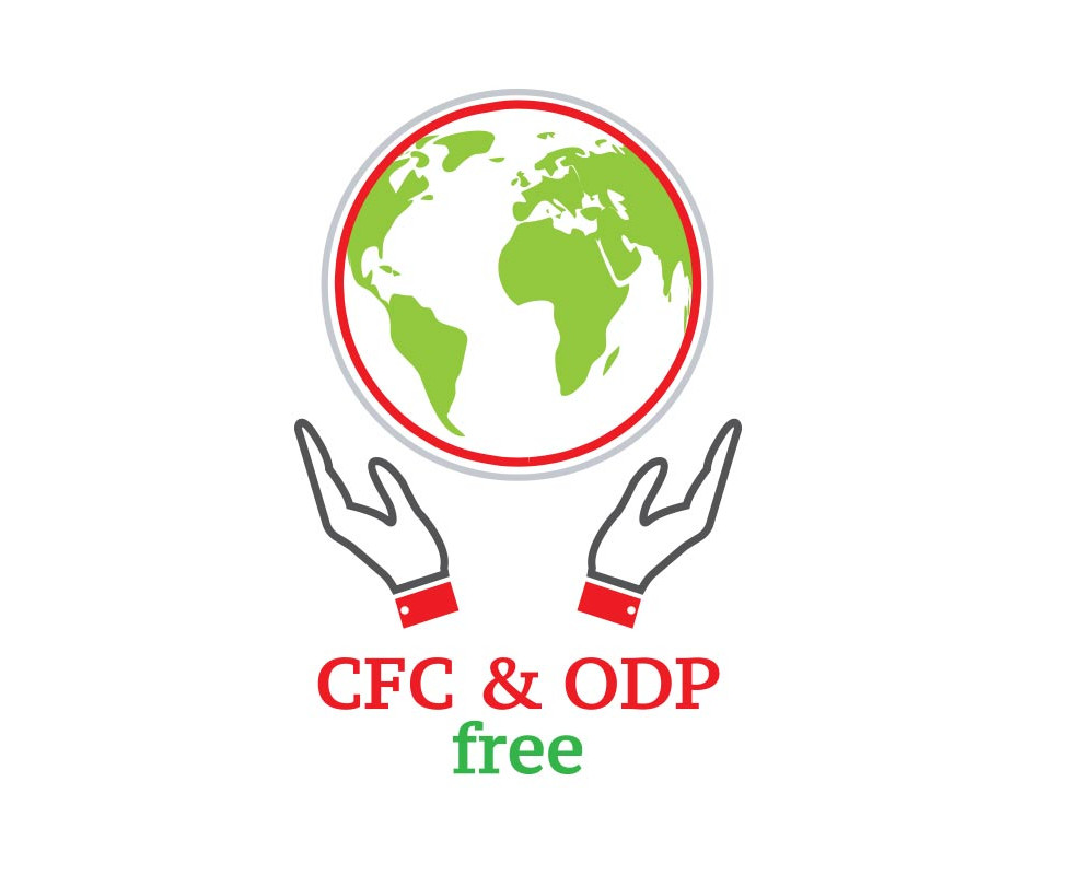 VISION GD 252L Pink Tulip Black BM (Digital display) - GET TO EASY